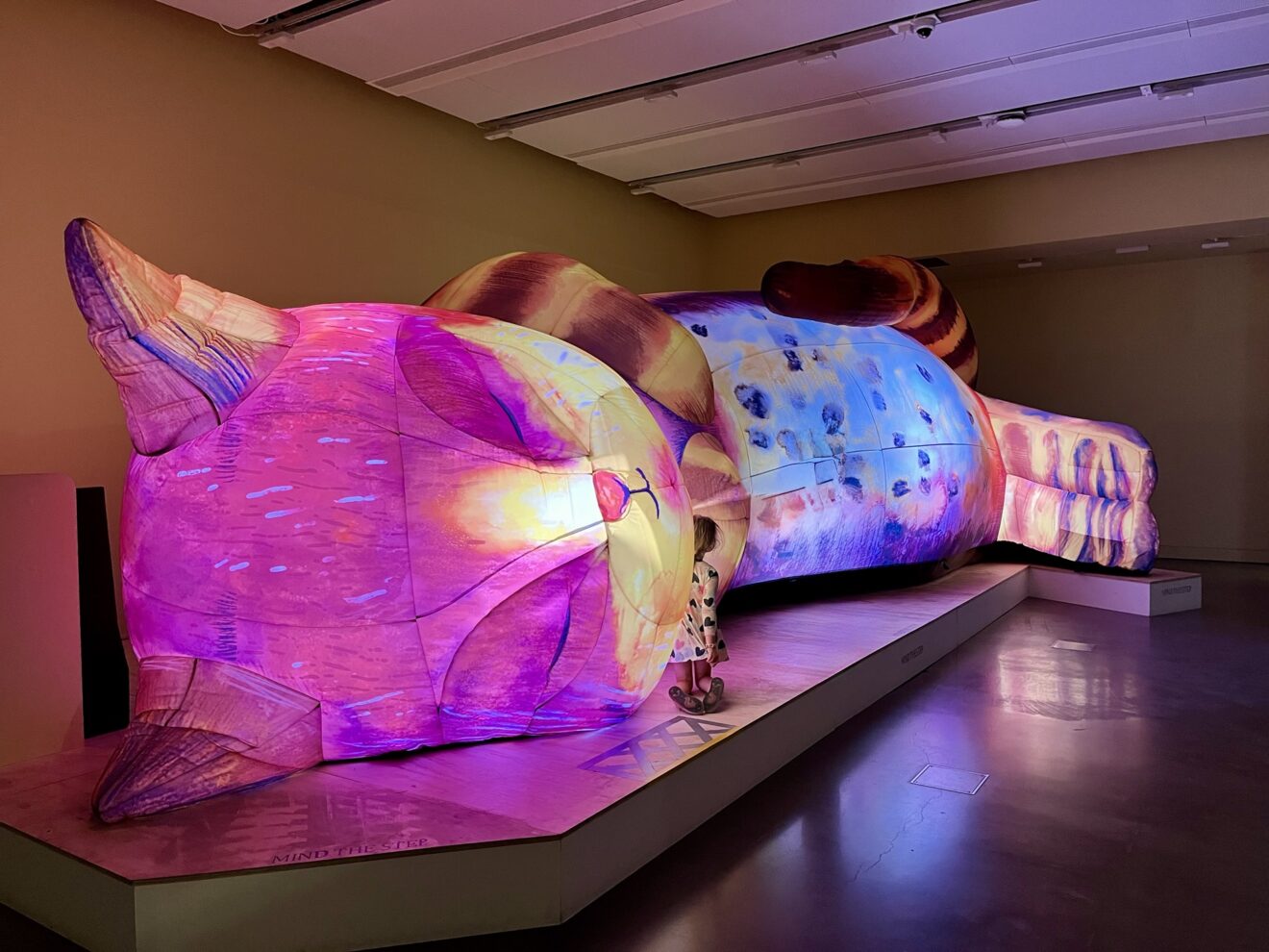 The Cat That Slept for a Thousand Years - Neil Turner's Blog