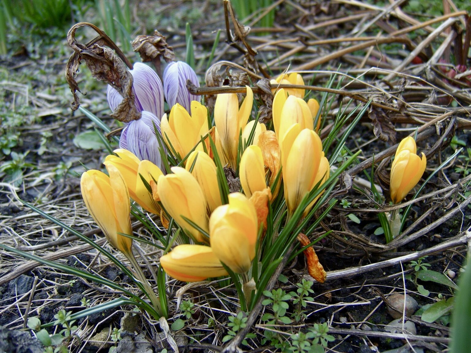 Marching onwards into March - Neil Turner's Blog